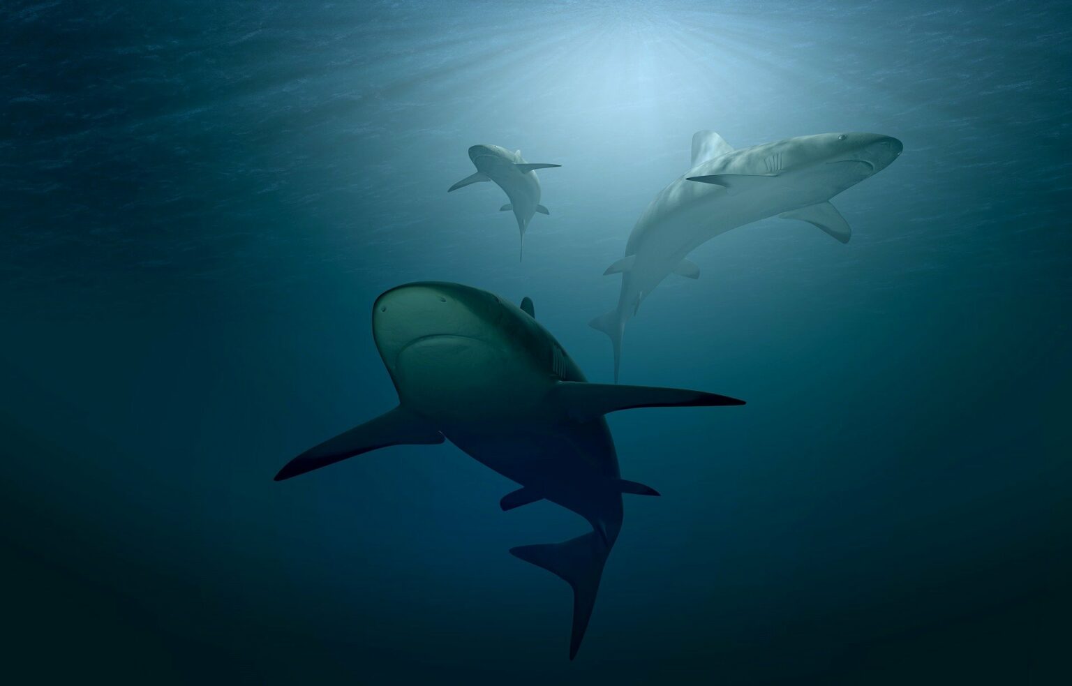 La vida marina y océanos, un gran mundo por descubrir